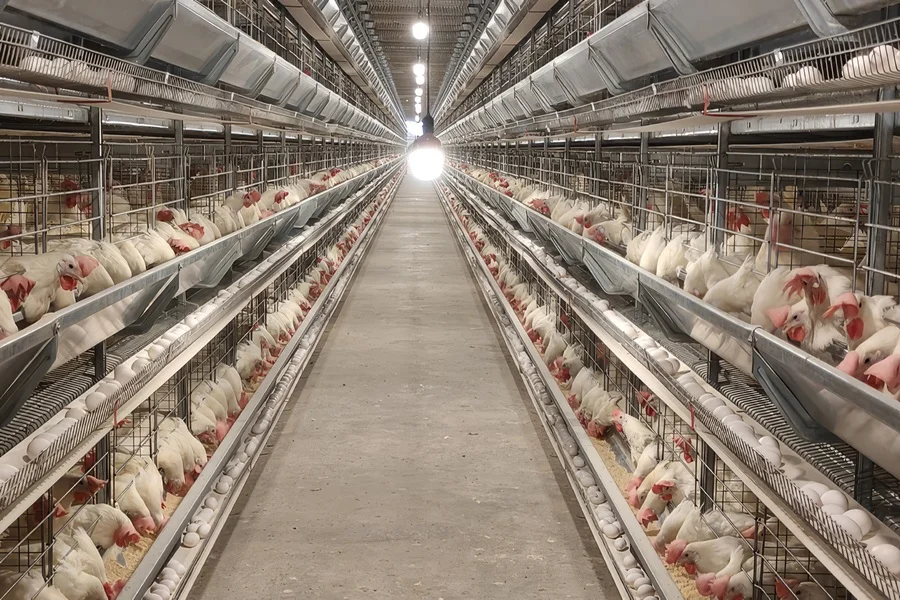 Home - QUALITY SYSTEMS