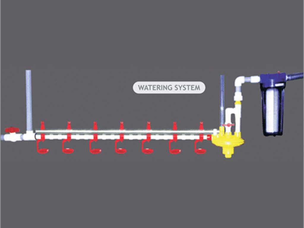 Poultry Watering System - QUALITY SYSTEMS